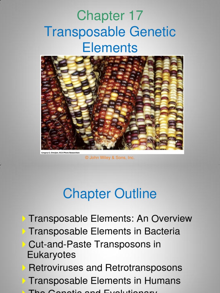 CH17 | PDF | Transposable Element | Retrovirus