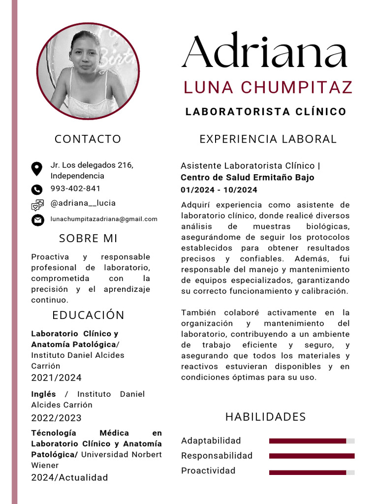 Curriculum Vitae CV Elegante Profesional Blanco | PDF