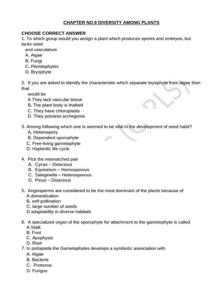 Diversity Among Plants | PDF | Spore | Plant Morphology