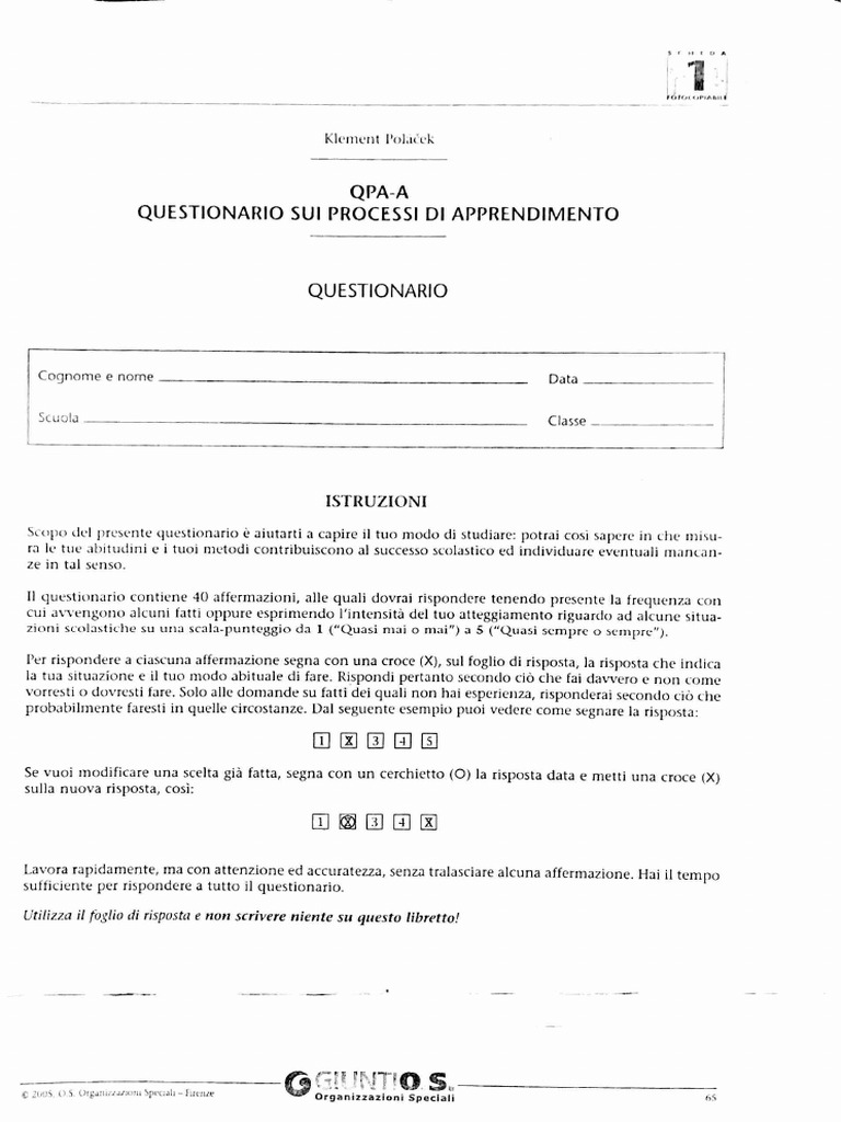 Questionario Medie | PDF