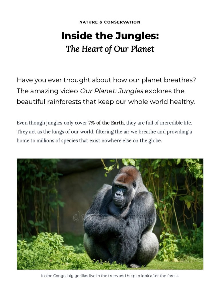 Inside The Jungles - The Heart of Our Planet | PDF
