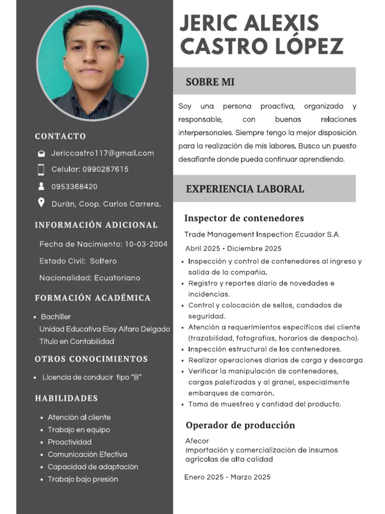 Jeric Castro - Hoja de Vida | PDF