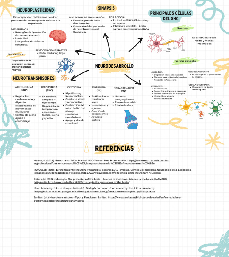 Neurode SR Rollo | PDF | Sinapsis | Neuroplasticidad