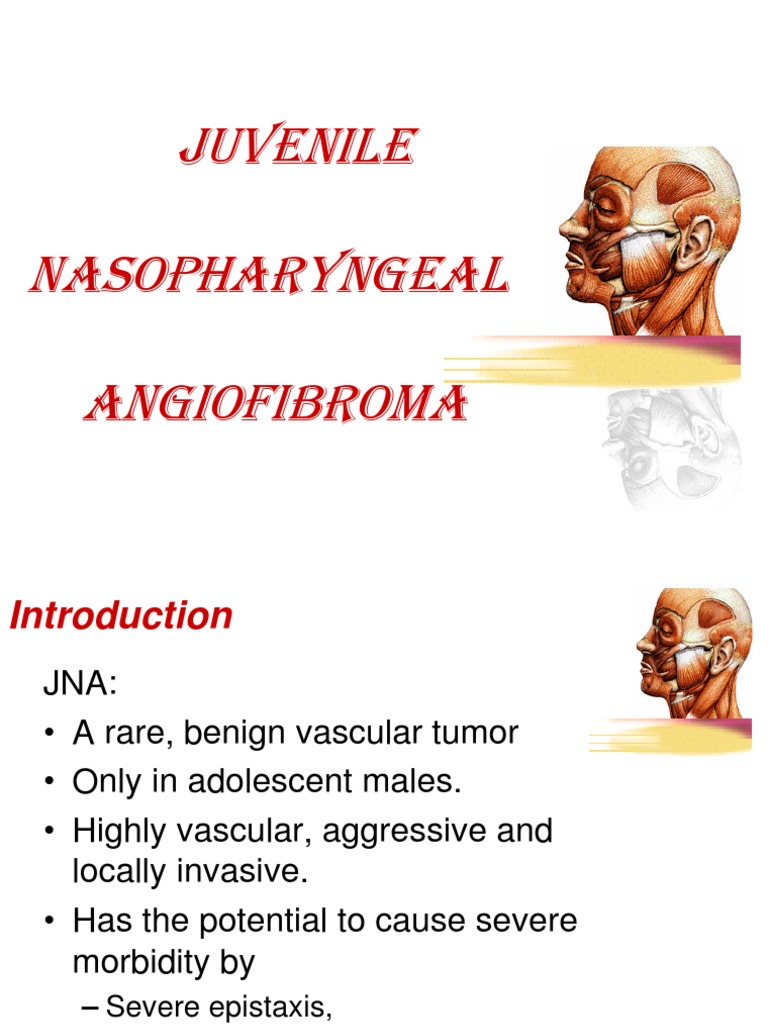 Jna | PDF | Human Anatomy | Human Head And Neck