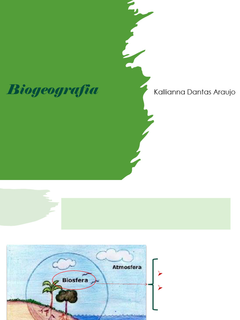 Ecossistemas e Impactos Humanos Nos Ecossistemas - Slides | PDF ...