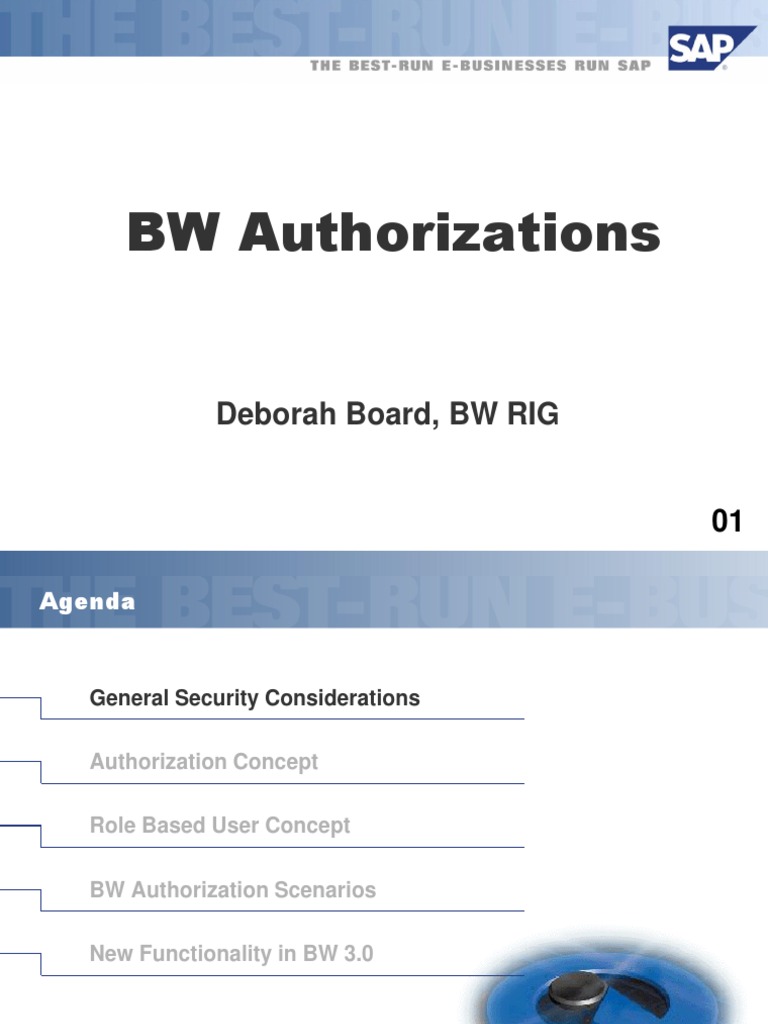SAP BW Authorization Overview | PDF | Metadata | Business Process
