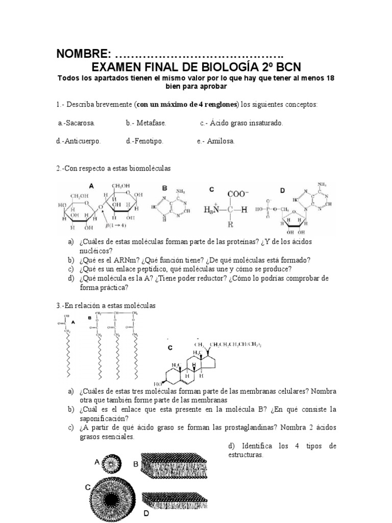 EXAMEN Final BIOLOGÍA | PDF | Biología Celular) | Enzima