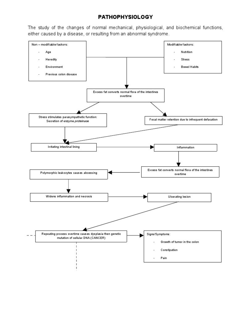 Sigmoid Colon Cancer Pathophysiology | PDF