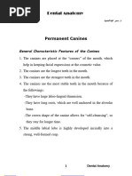 Deciduous Teeth Identification Guide | PDF | Dental Anatomy | Tooth