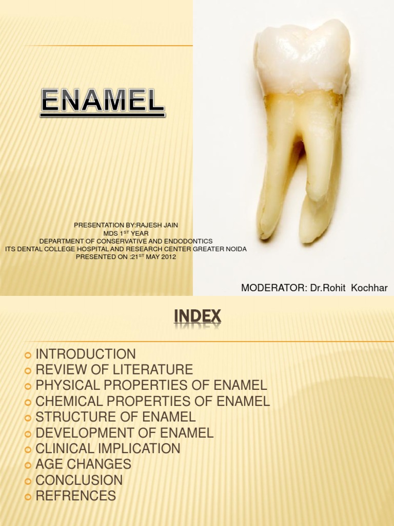 Enamel | Tooth Enamel | Human Tooth