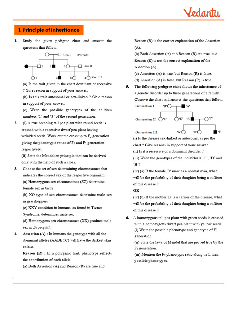 CBSE 12th Question File | PDF | Genotype | Dominance (Genetics)
