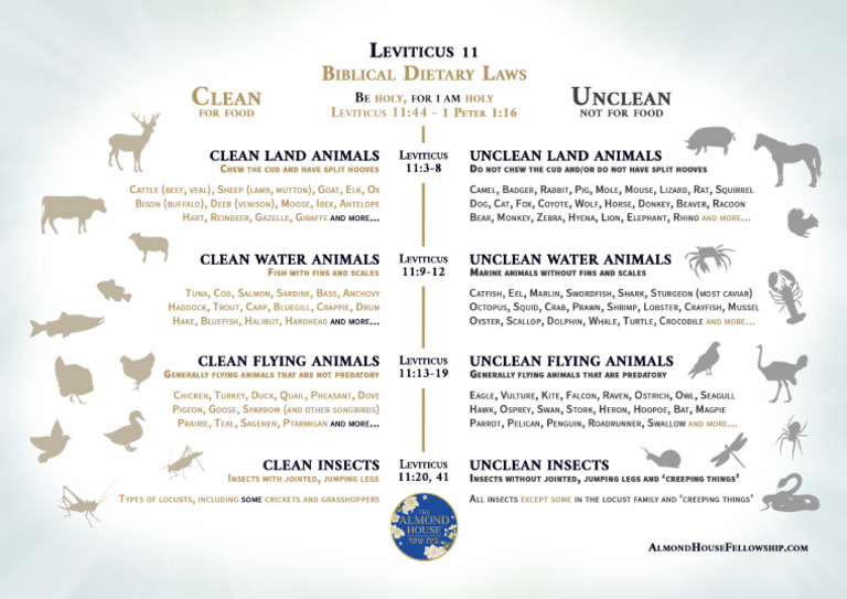 Clean & Unclean Animals Dietary Laws A4 Colour Version | PDF
