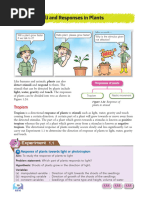 Plant Responses to Environmental Stimuli | PDF | Plants | Biology