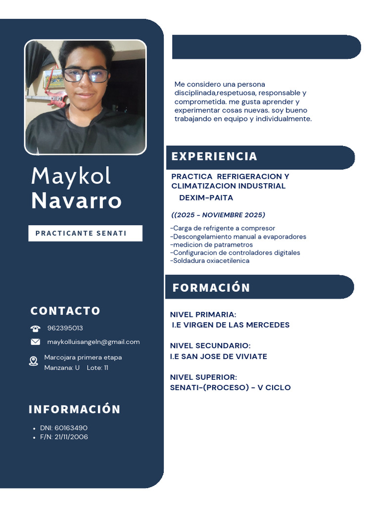 Currículum Vitae CV Marketing Manager Corporativo Azul y Blanco | PDF