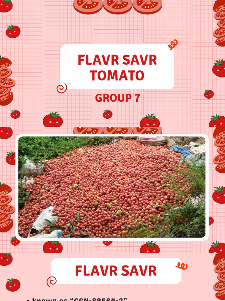 Group 7 Flavr Savr | PDF