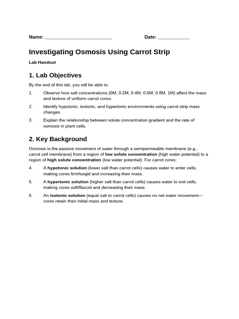 Carrot Strip Osmosis Lab | PDF | Osmosis