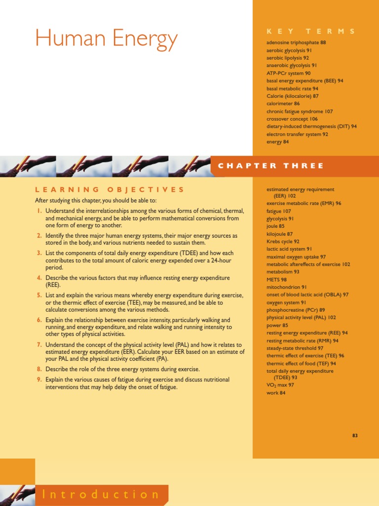 Human Energy Production and Metabolism | PDF | Cellular Respiration ...