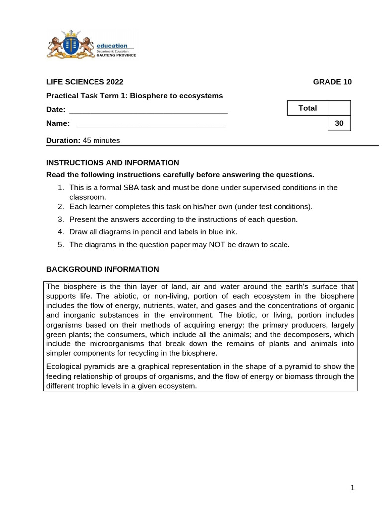 Term 1 Gr.10 Practical Task 2022 | PDF | Ecosystem | Food Web