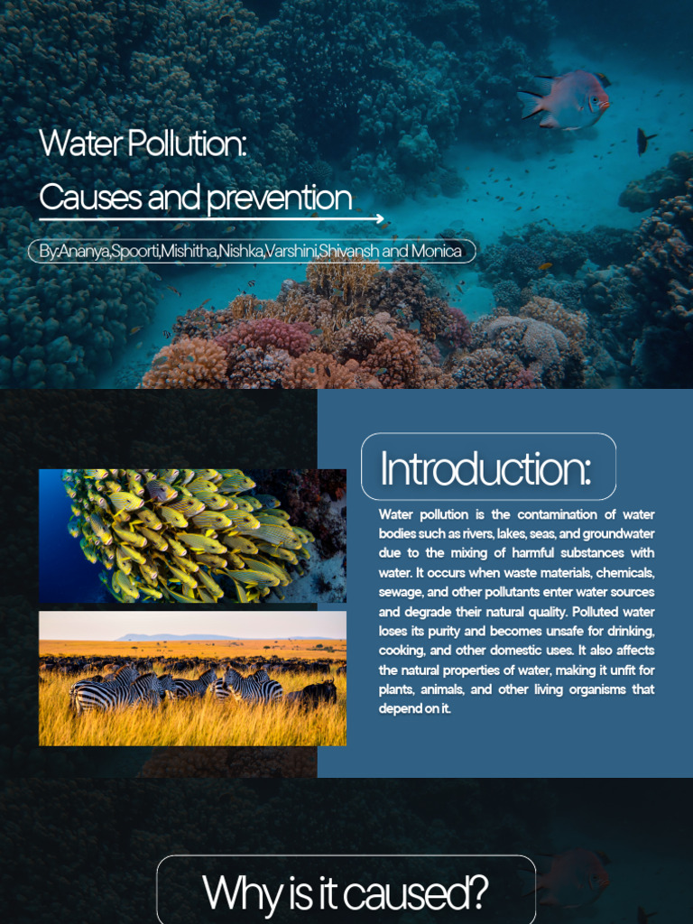 Chemistry Project - Team3 | PDF | Water Pollution | Water