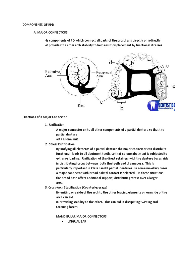 Components of Rpd | Dentures | Dentistry Branches