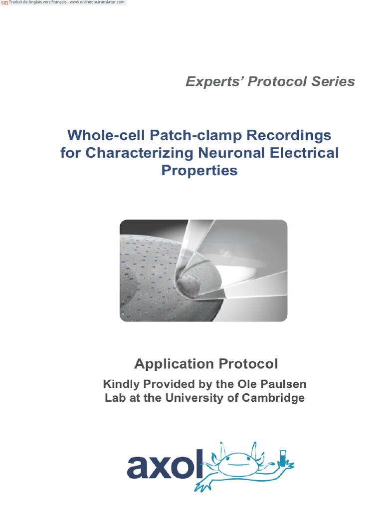 Patch Clamp Protocol | PDF | Biologie cellulaire | Neurophysiologie