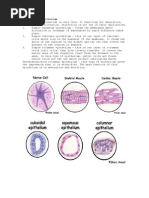 Dichotomous Key For Histology | PDF | Epithelium | Tissue (Biology)