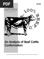 Livestock Judging Techniques Explained | PDF | Livestock | Domesticated ...