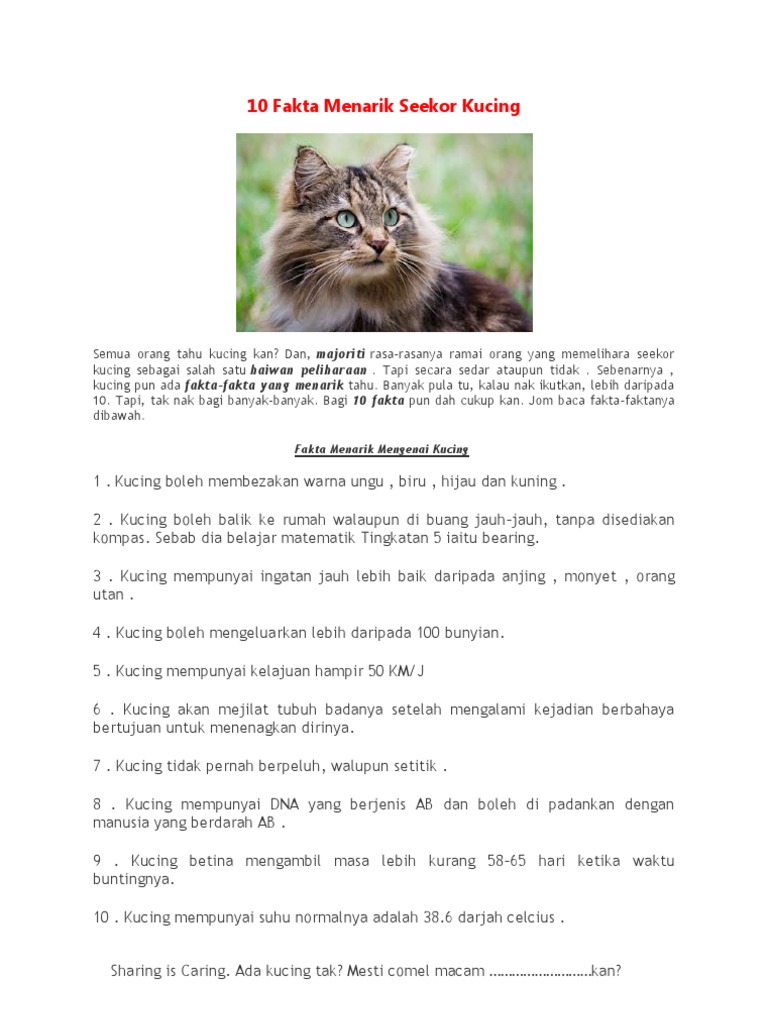 10 Fakta Menarik Seekor Kucing | PDF