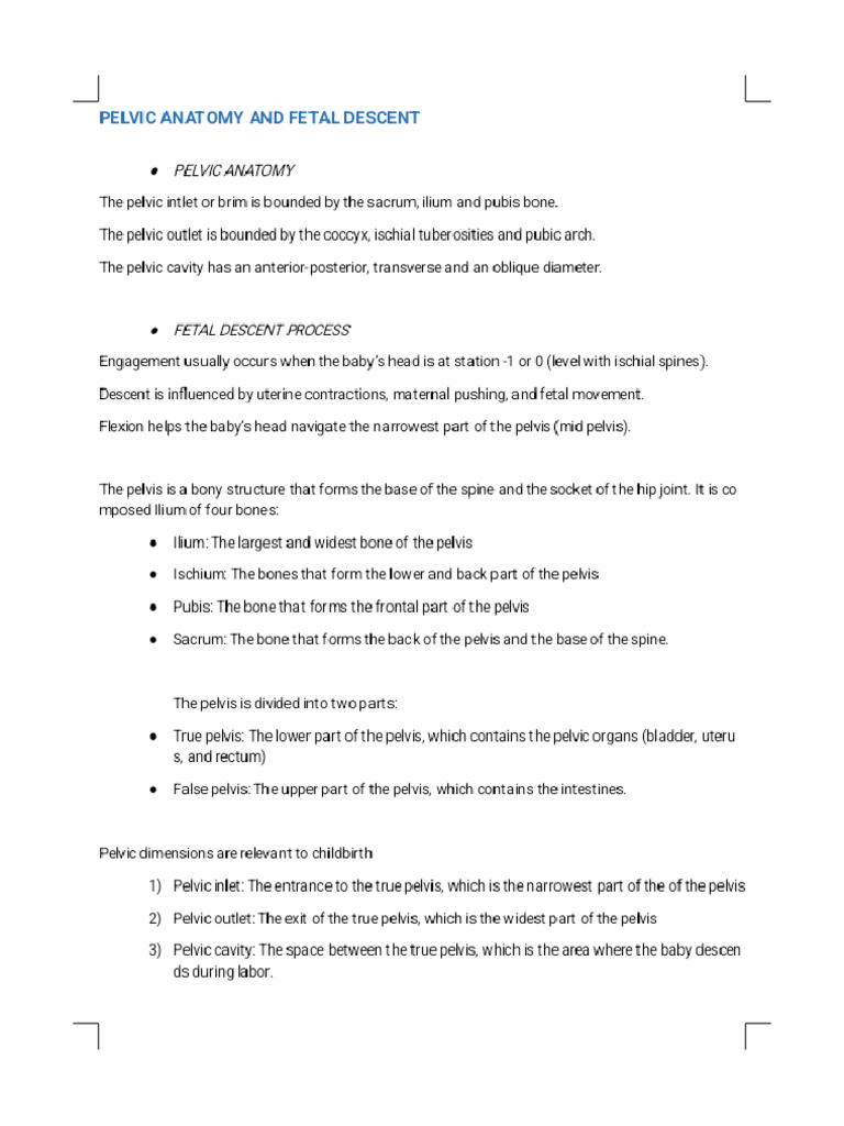Pelvic Anatomy and Fetal Descent-3 - Phoenix | PDF