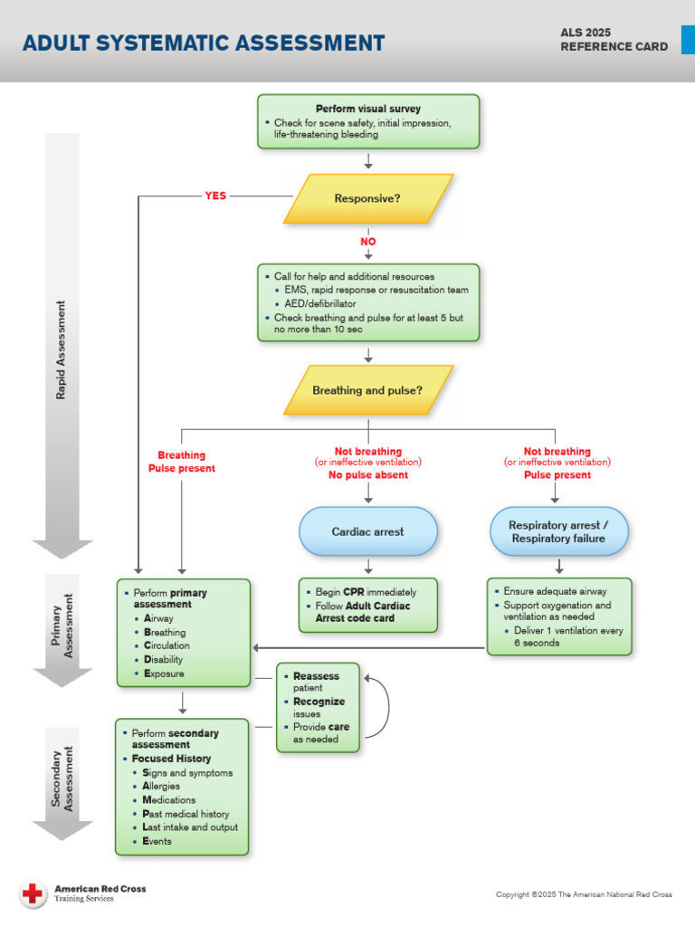Als Code Cards Adult Systematic Assessment Final Print | PDF ...
