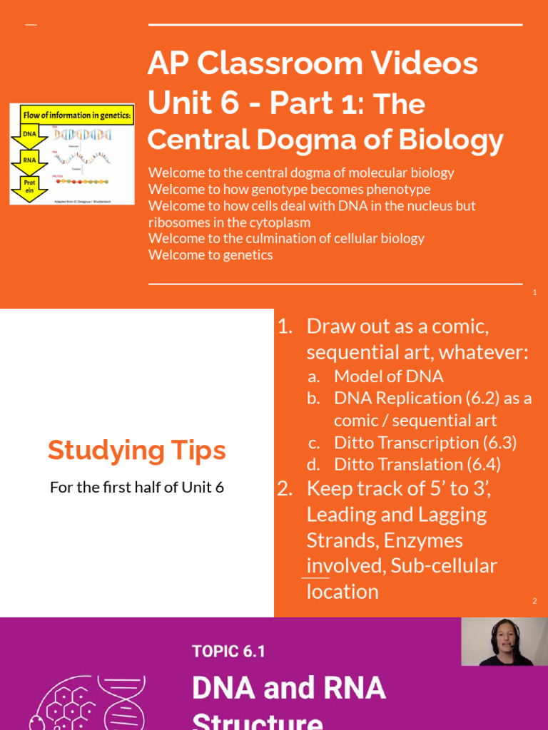 Ap Bio Unit 6 Videos Part 1 Central Dogma of Biology | PDF ...