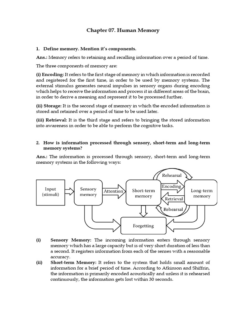 Psychology Chapter 07 Human Memory QandA (1) | PDF | Memory | Recall ...