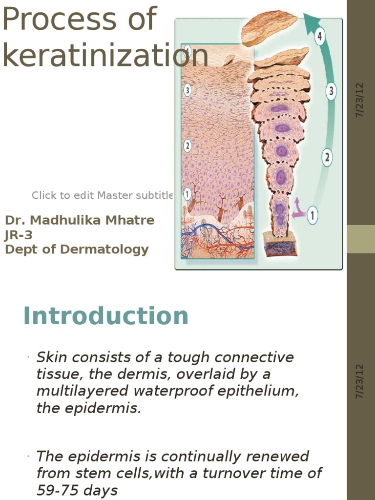 Keratinization Seminar | Epidermis | Biochemistry