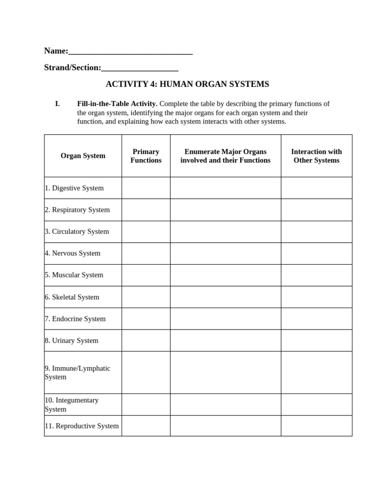 Activty 4 Human Organ System Activity | PDF