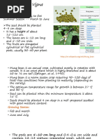 Mung Bean Germination: 7-Day Study | PDF | Seedling | Seed