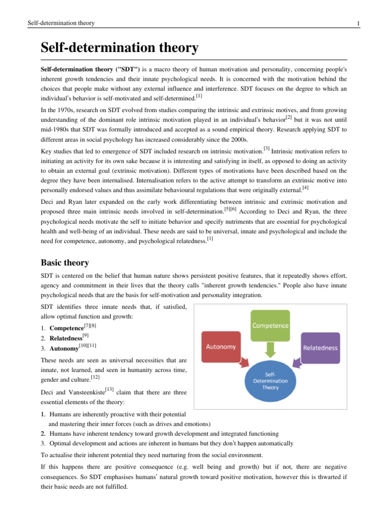 Self Determination Theory | Motivation | Self-Improvement