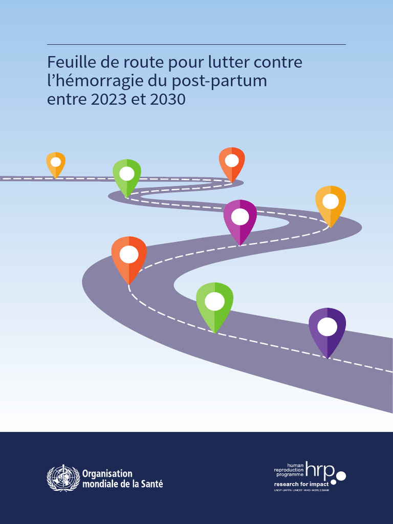 Feuille de Route Pour Lutter Contre HPP 2023 Et 2030 | PDF ...
