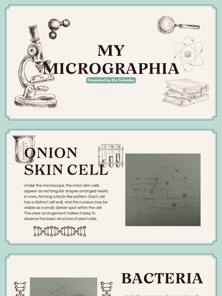 My Micrographia Calamba | PDF
