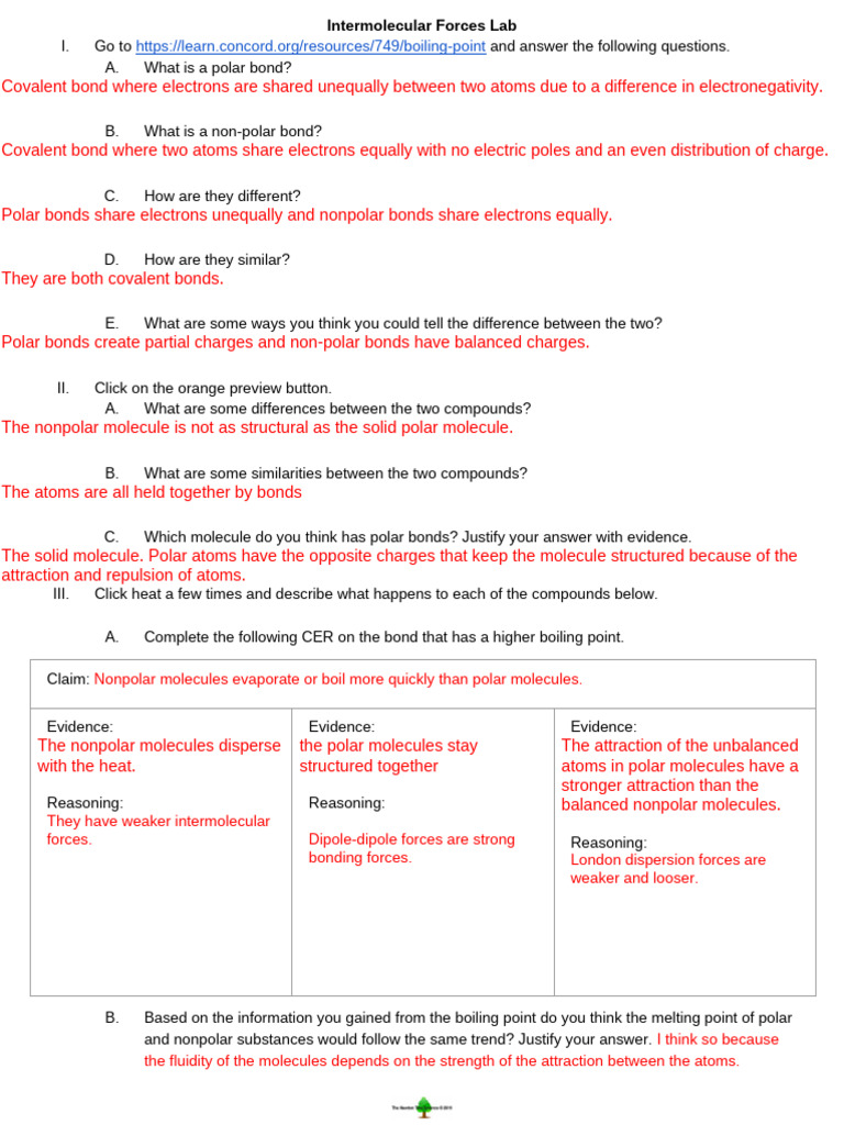 Intermolecular Forces Internet Activities | PDF | Chemical Polarity ...