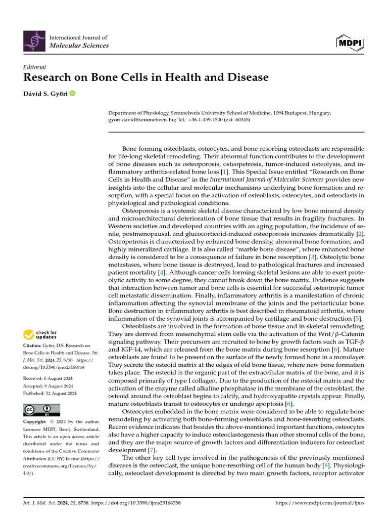 Research On Bone Cells | PDF | Bone | Osteoblast