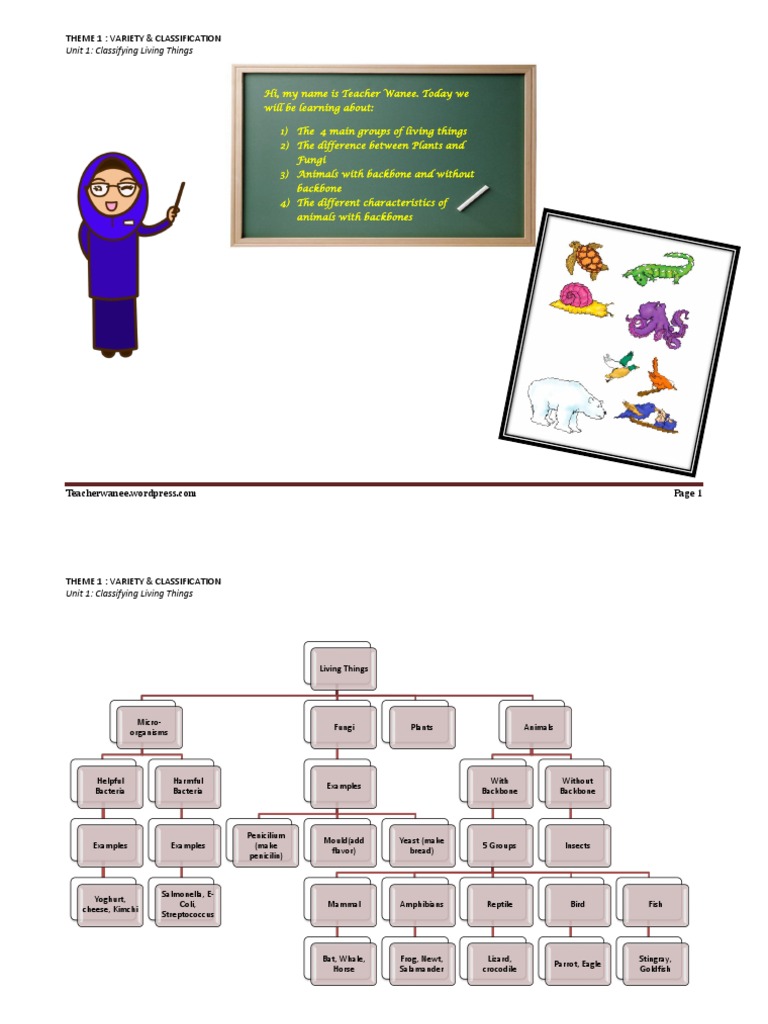 Classifying Living Things Overview | PDF | Amphibian | Microorganism