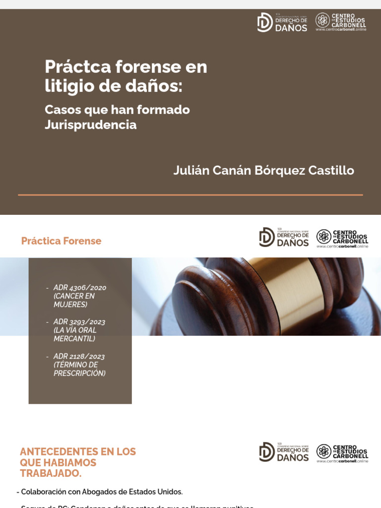 Mtro. Julian Canan Borquez Castillo | PDF | Caso de ley | Justicia