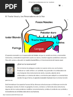 Tipos y Funciones de los Resonadores Vocales | PDF | Sonido | Boca