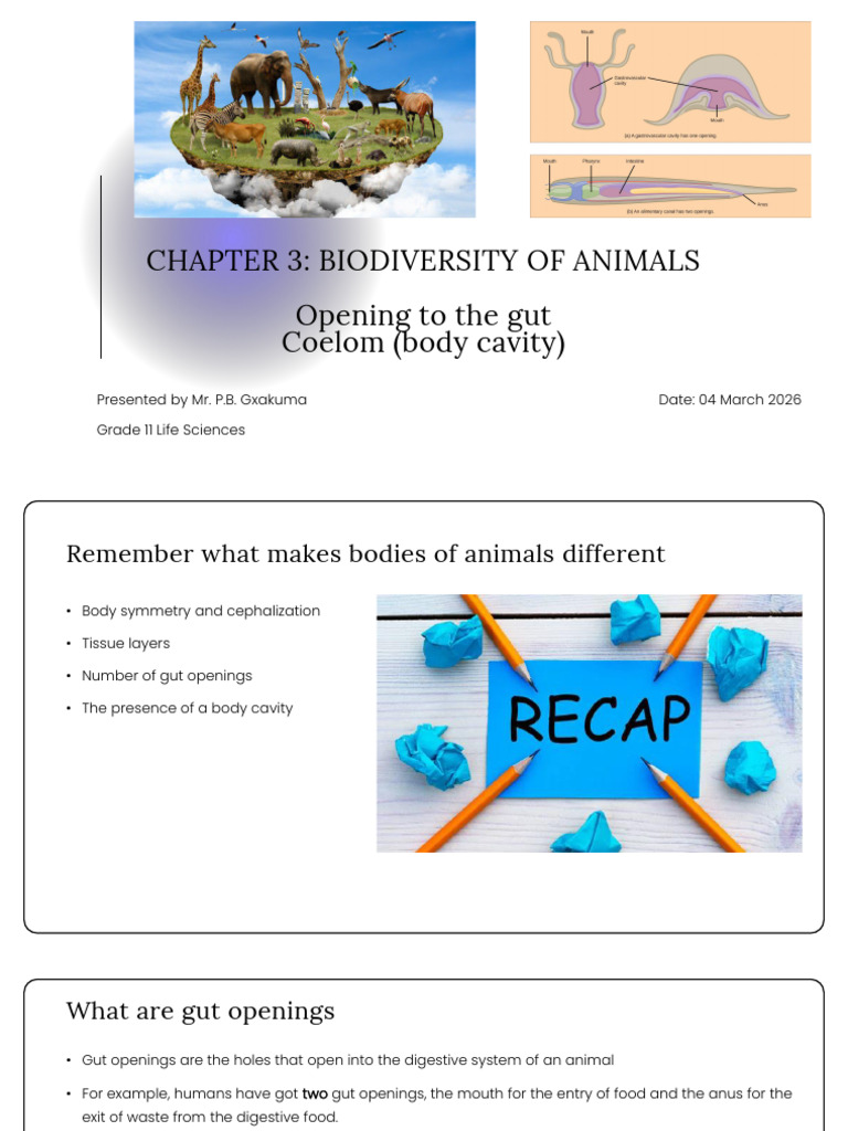 Biodiversity of Animals (Opening to the gut) | PDF | Anatomy | Biology