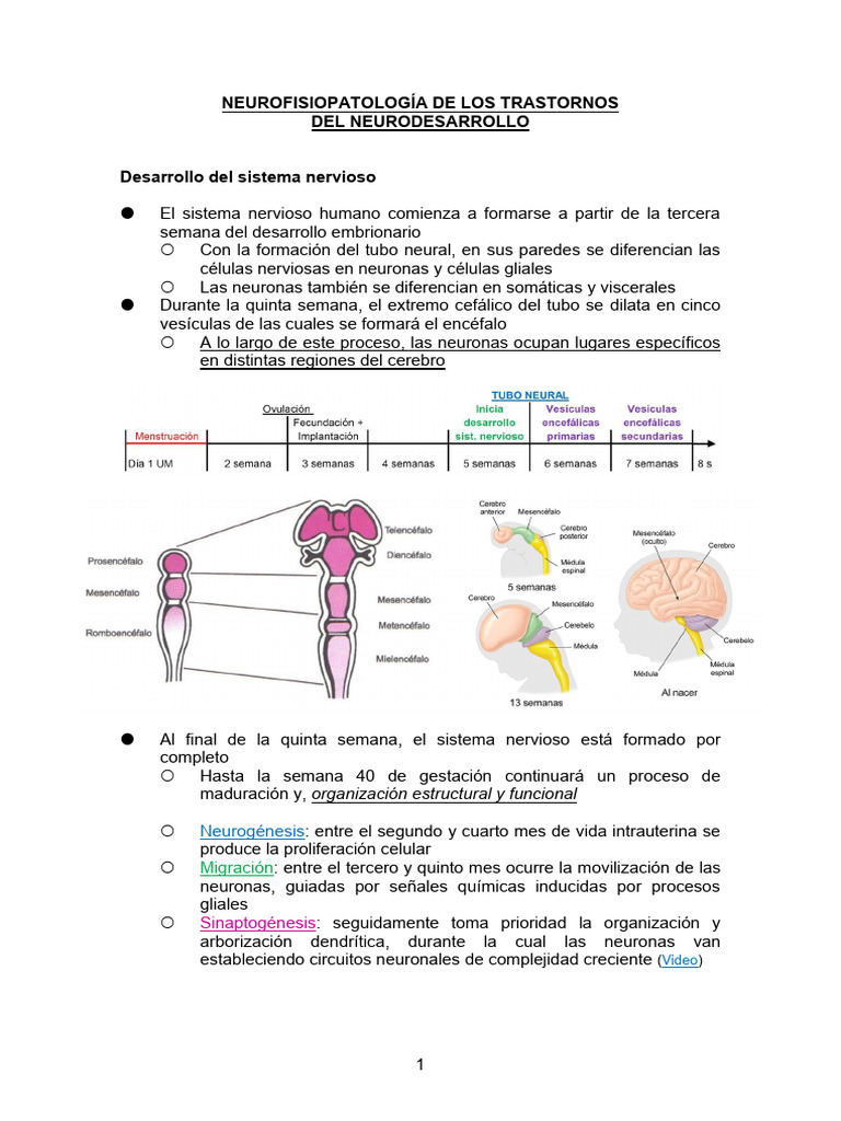 011b - Clase - Psicoestimulantes | PDF | Desorden hiperactivo y deficit ...