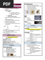 Parasite Ova and Cyst Identification Chart | PDF | Egg