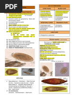 Trematodes Overview and Hosts | PDF | Parasitology