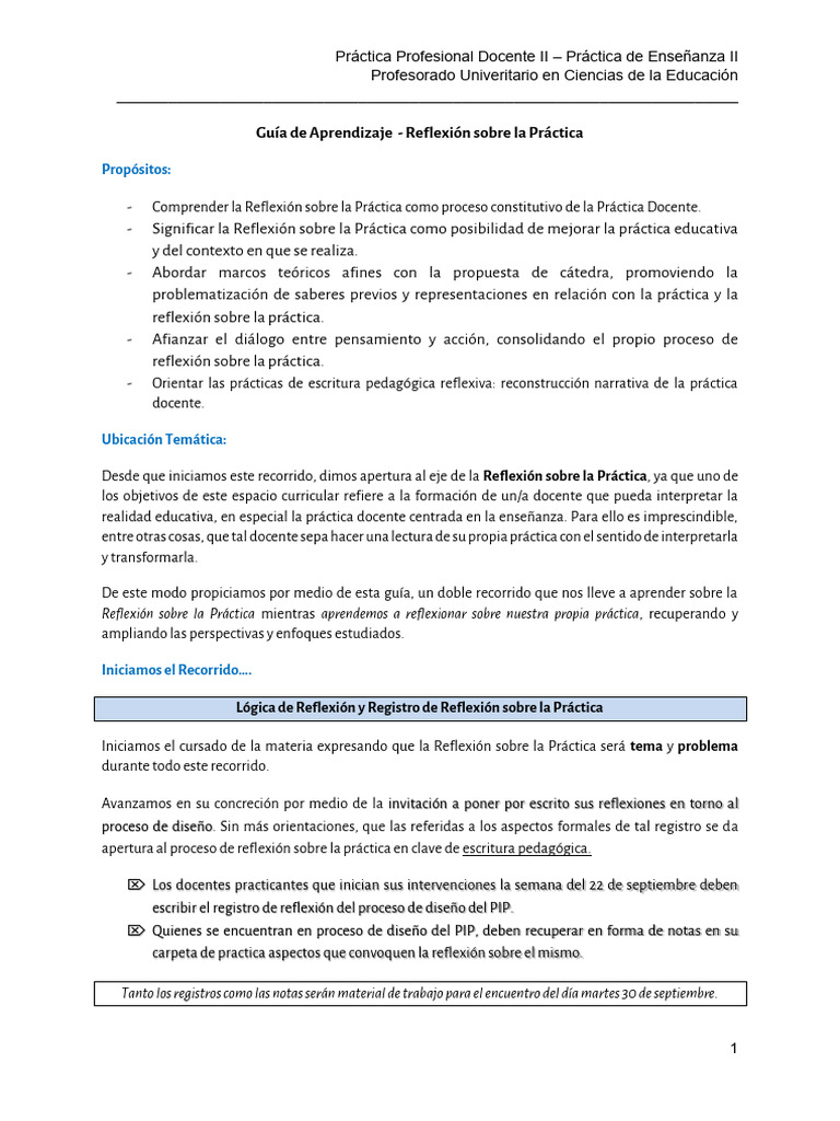 PPDII - Guía de Aprendizaje Reflexión Sobre La Práctica - 2025 | PDF ...
