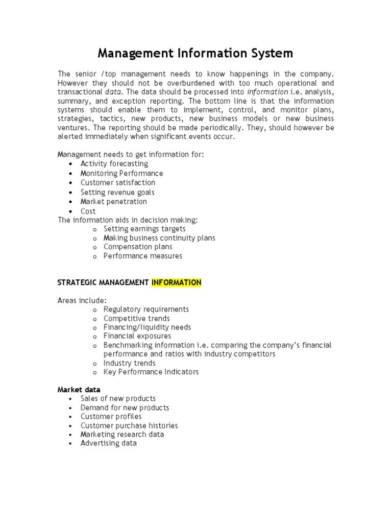 Management Information System Notes | PDF