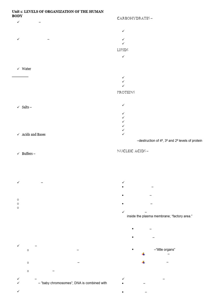 Unit 1 Levels of Organization of the Human Body | PDF | Epithelium | Cancer